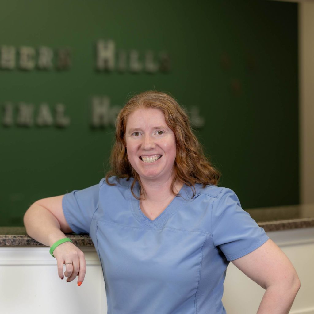 Meet Our Vet Team in Roanoke, VA